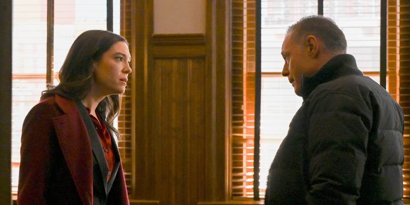 Ruzek & Burgess' Chicago PD Season 12 Fate Explains Voight's Budding ...