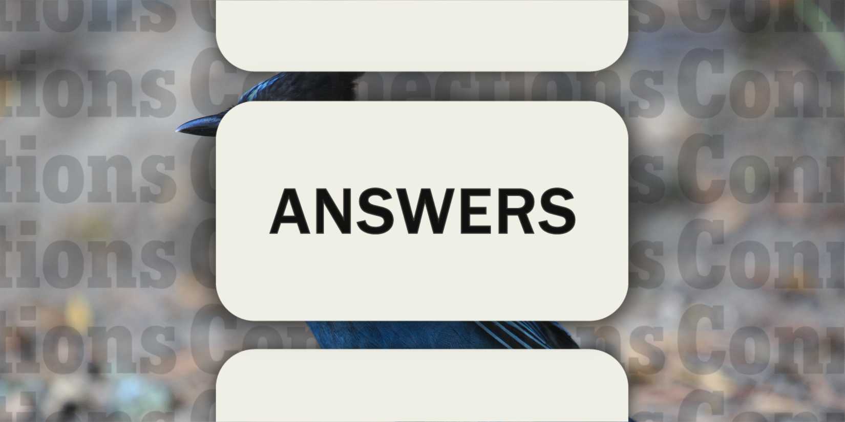 Today's Connections Hints & Answers For December 24, 2024 (Puzzle #562)