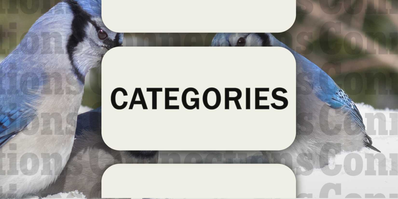 Today's Connections Hints & Answers For December 24, 2024 (Puzzle #562)