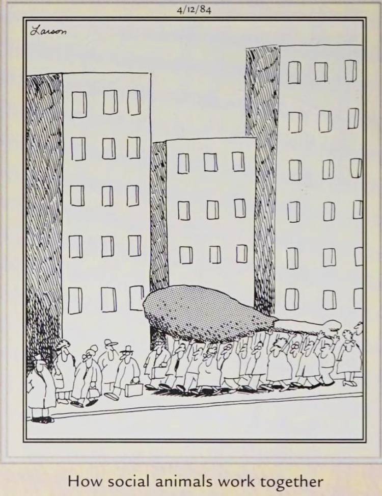 10 Far Side Comics That Will Make You Rethink Society From Top to Bottom