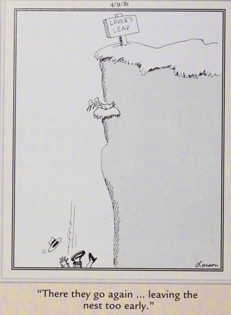 15 Far Side Comics That Would Get Gary Larson Canceled Today