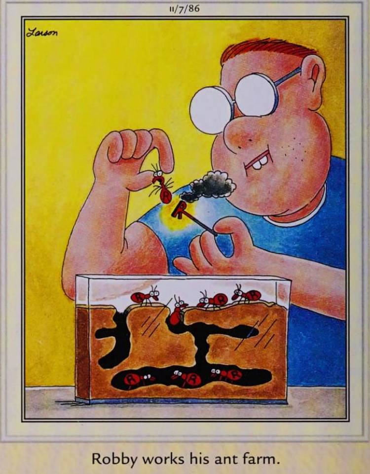 10 Far Side Comics That Put Terrible Pet Owners to Shame