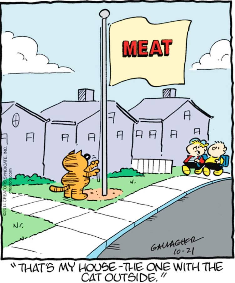Heathcliff Comics Are Surreal Works of Genius, And These 10 Comics Prove It