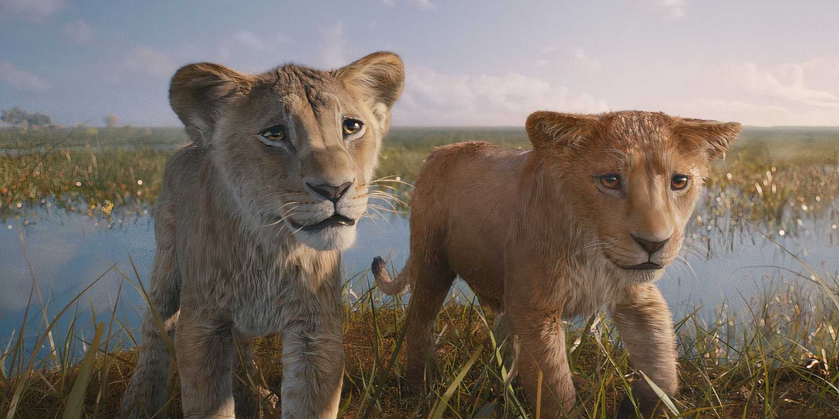 The Lion King's New Prequel Confirms A Major Difference Between Simba ...