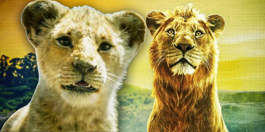 Mufasa & Simba's Family Tree In The Lion King Explained