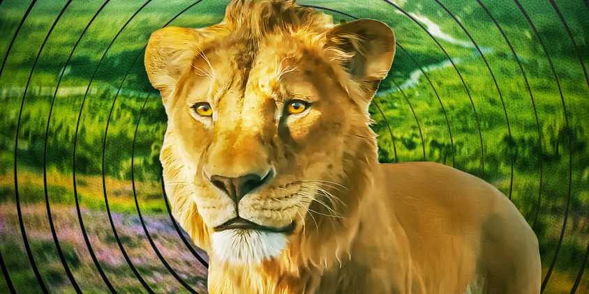 How Mufasa Really Became The Lion King, Changing Everything We've Known For 30 Years