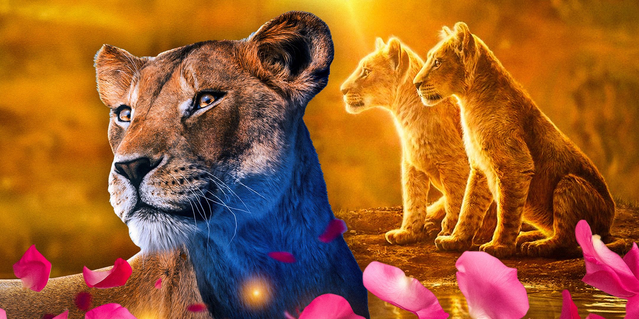 5 The Lion King Sequels Mufasa Sets Up