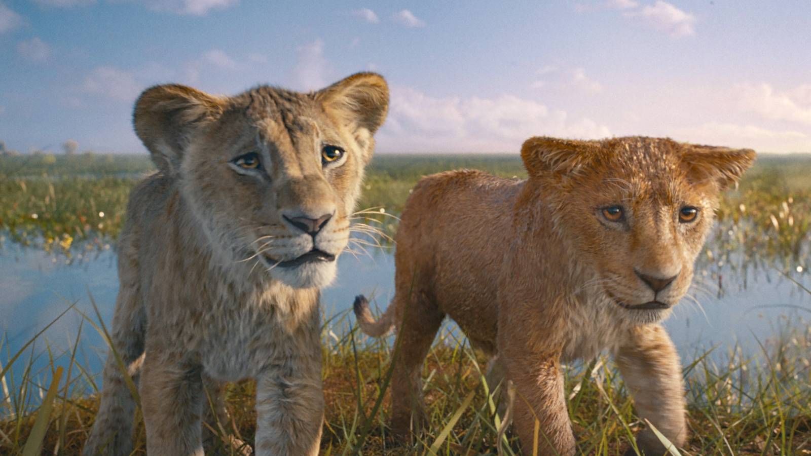Mufasa's New Backstory Makes Him The Total Opposite Of Simba In The ...