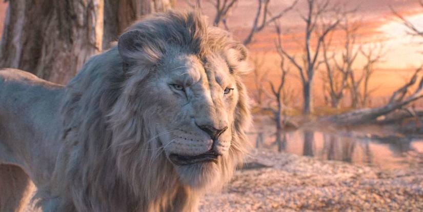 The Lion King's White Lions Explained: Movie & Real Life Facts