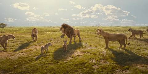 Mufasa: The Lion King Summary, Trailer, Cast, Where to Watch and More