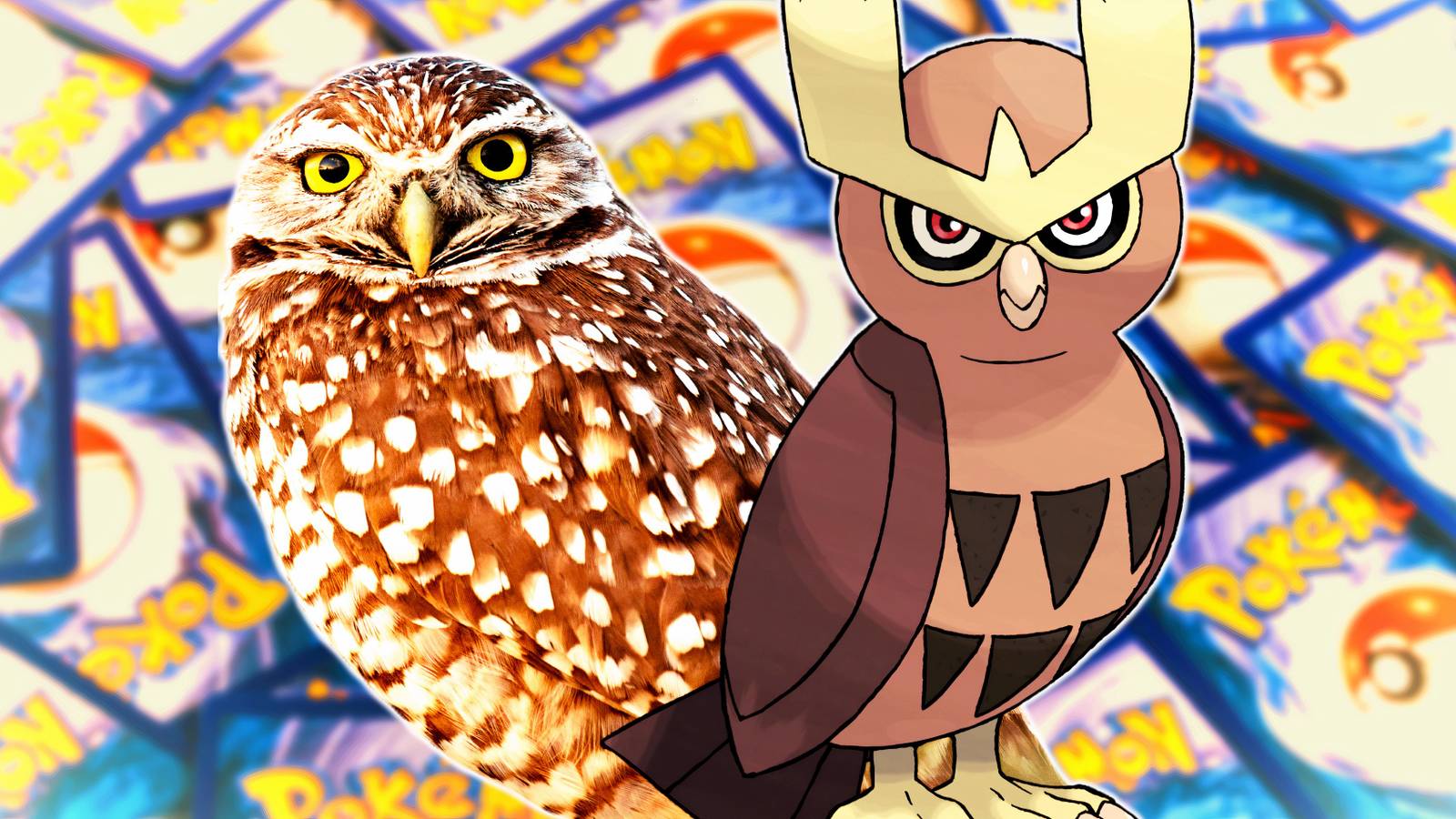 Photographer Combines Pokémon TCG With Wildlife Photography For Awesome ...