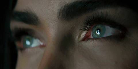 Subservience Summary, Trailer, Cast, Where to Watch and More