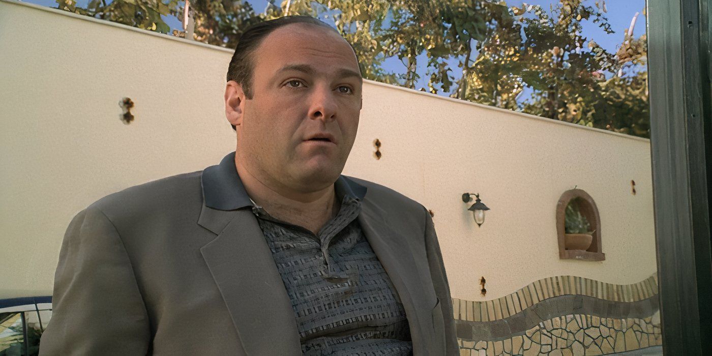Who Was The Guy In The Members Only Jacket In The Sopranos? Theories ...