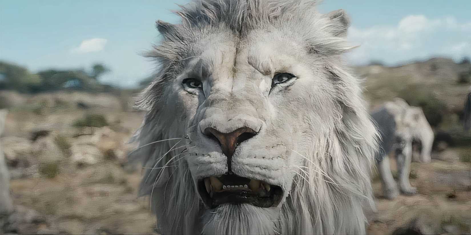 The Lion King's White Lions Explained: Movie & Real Life Facts