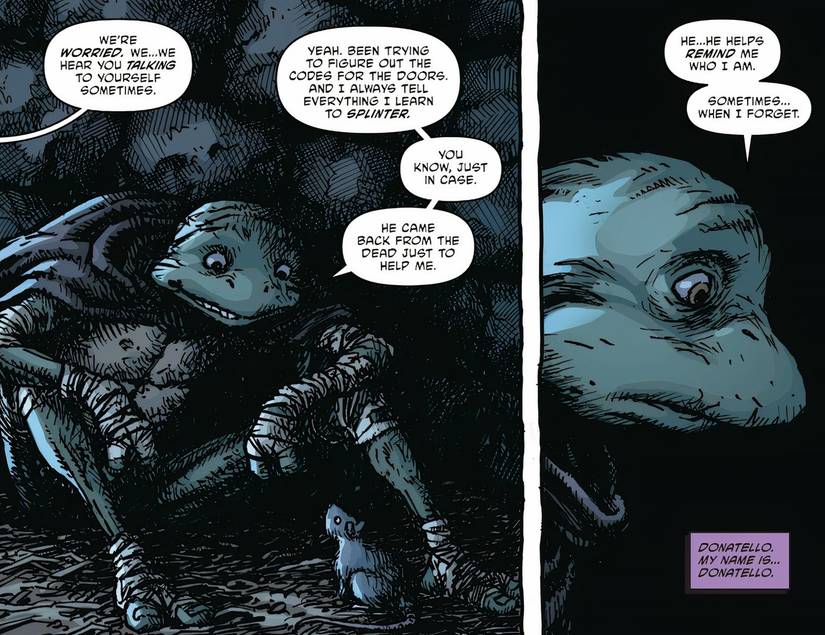 TMNT Just Ushered In Its Darkest Moment Yet for Splinter, Raising Red ...