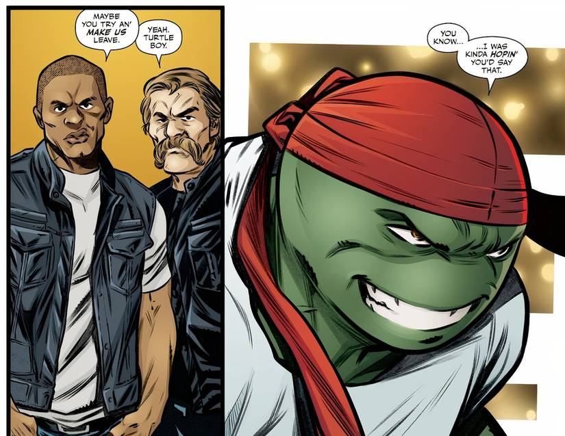TMNT Embraces Raphael's New Civilian Status With the Perfect Solo ...