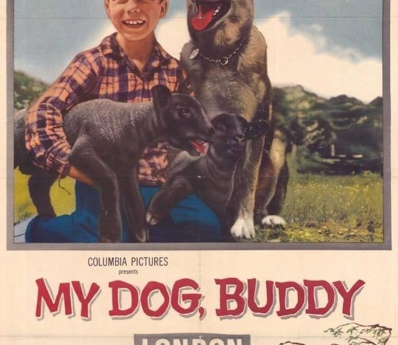 My Dog, Buddy Summary, Trailer, Cast, Where to Watch and More
