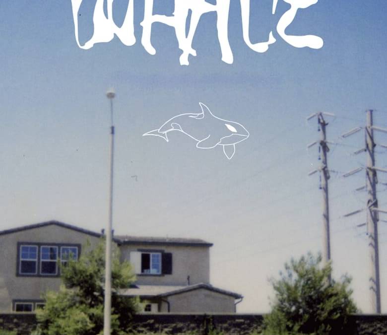 Whale Summary, Latest News, Trailer, Cast, Where to Watch and More