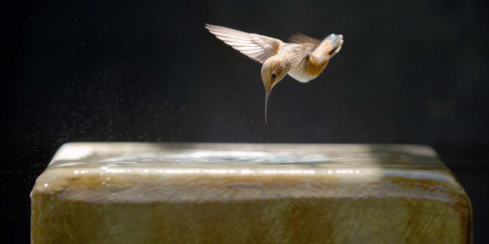 Every Little Thing's Sally Aitken On "Quirky" & "Curious" Documentary ...