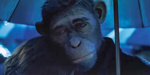 Better Man Summary, Trailer, Cast, Where to Watch and More