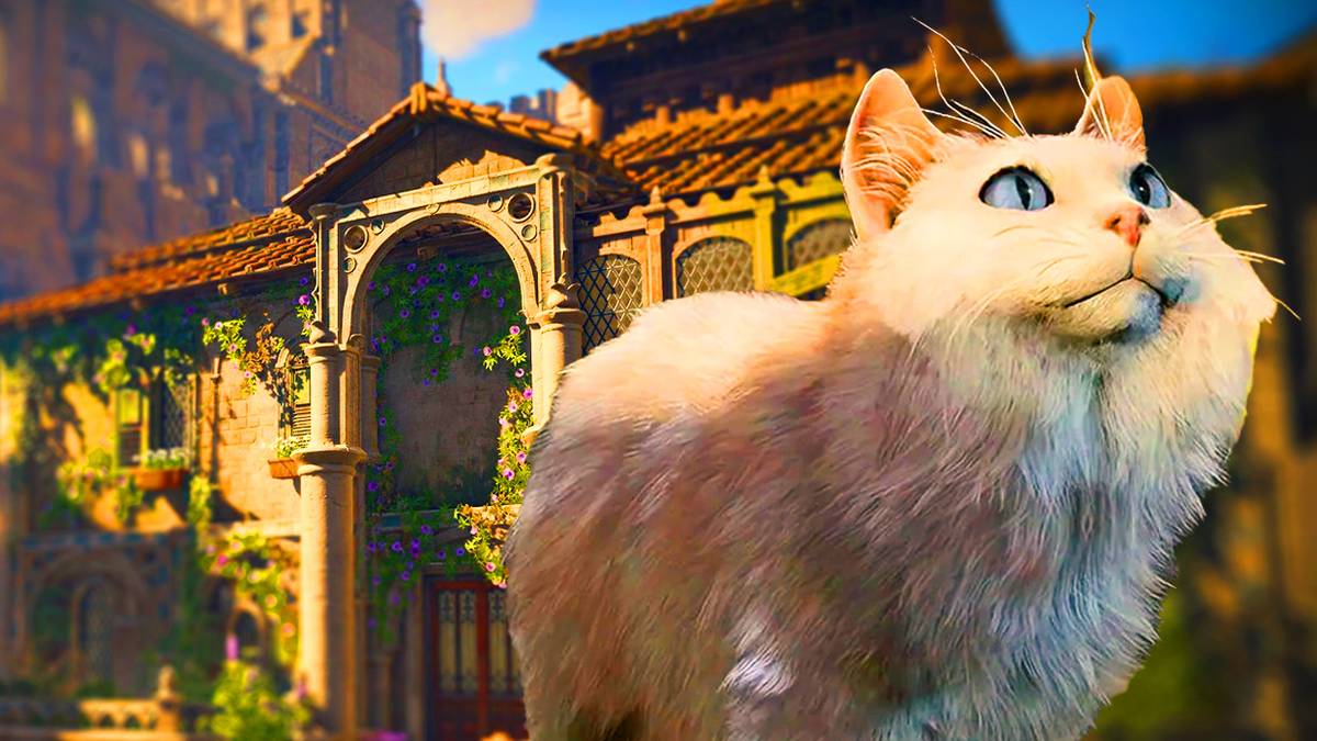 Which Cat In Baldur’s Gate 3 Is The Best Fit For Derryth Bonecloak?