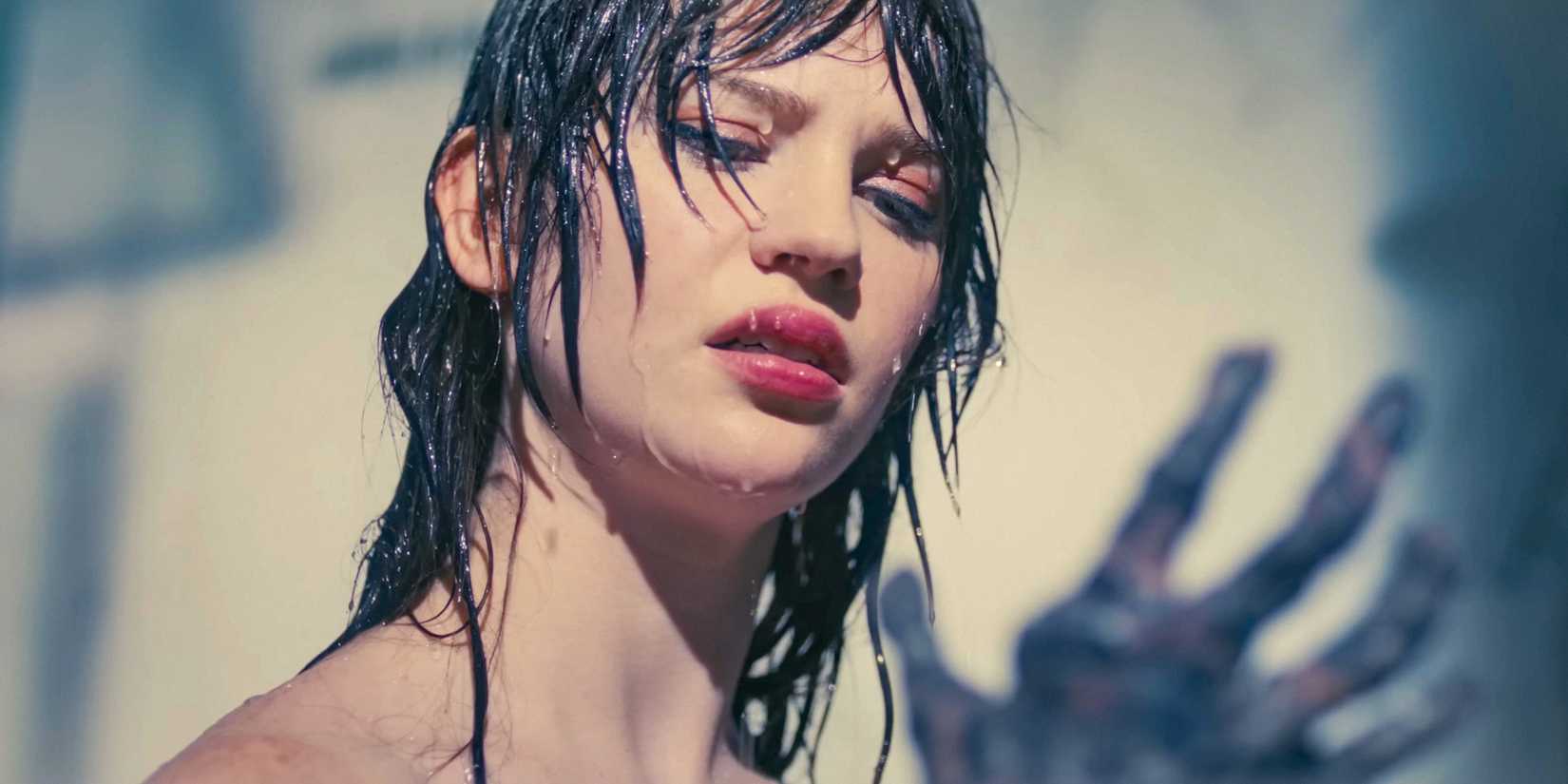 7 Reasons Companion's Reviews Are So Positive