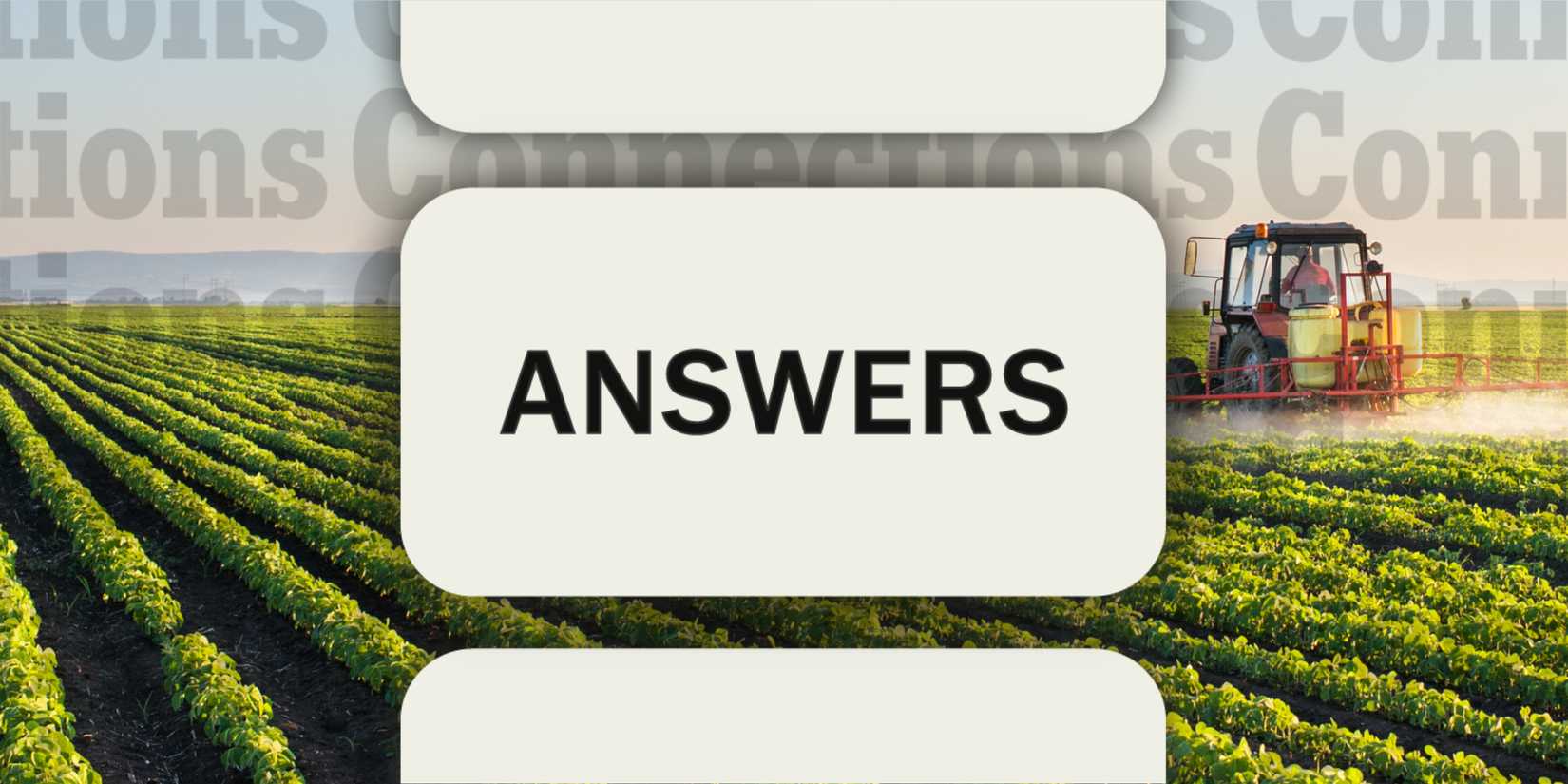 Today's Connections Hints & Answers For January 26, 2025 (Puzzle #595)