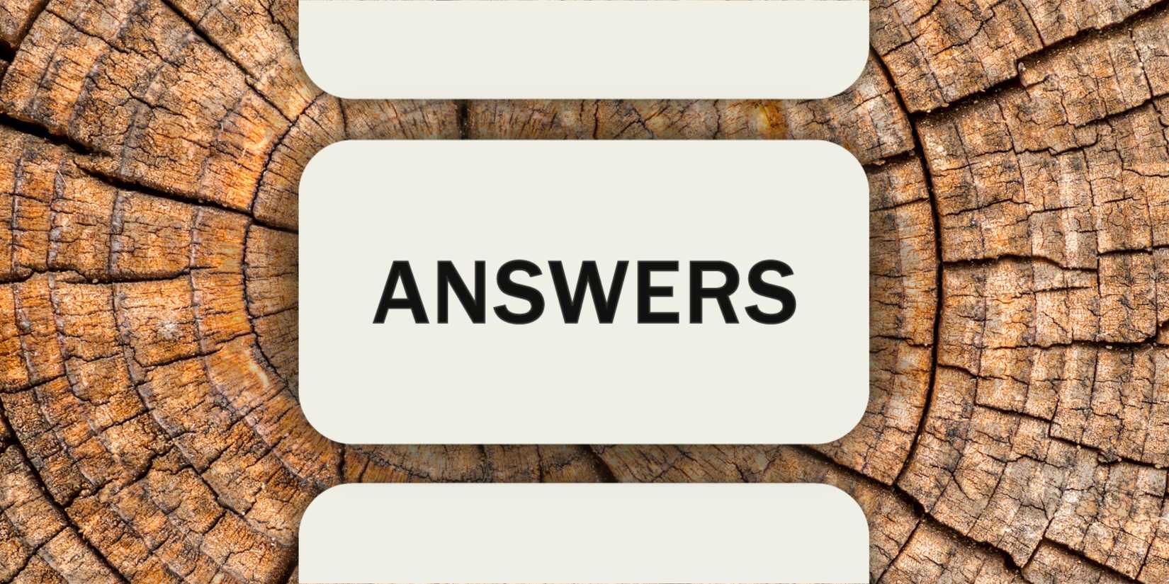 Today's Connections Hints & Answers For January 31, 2025 (Puzzle #600)