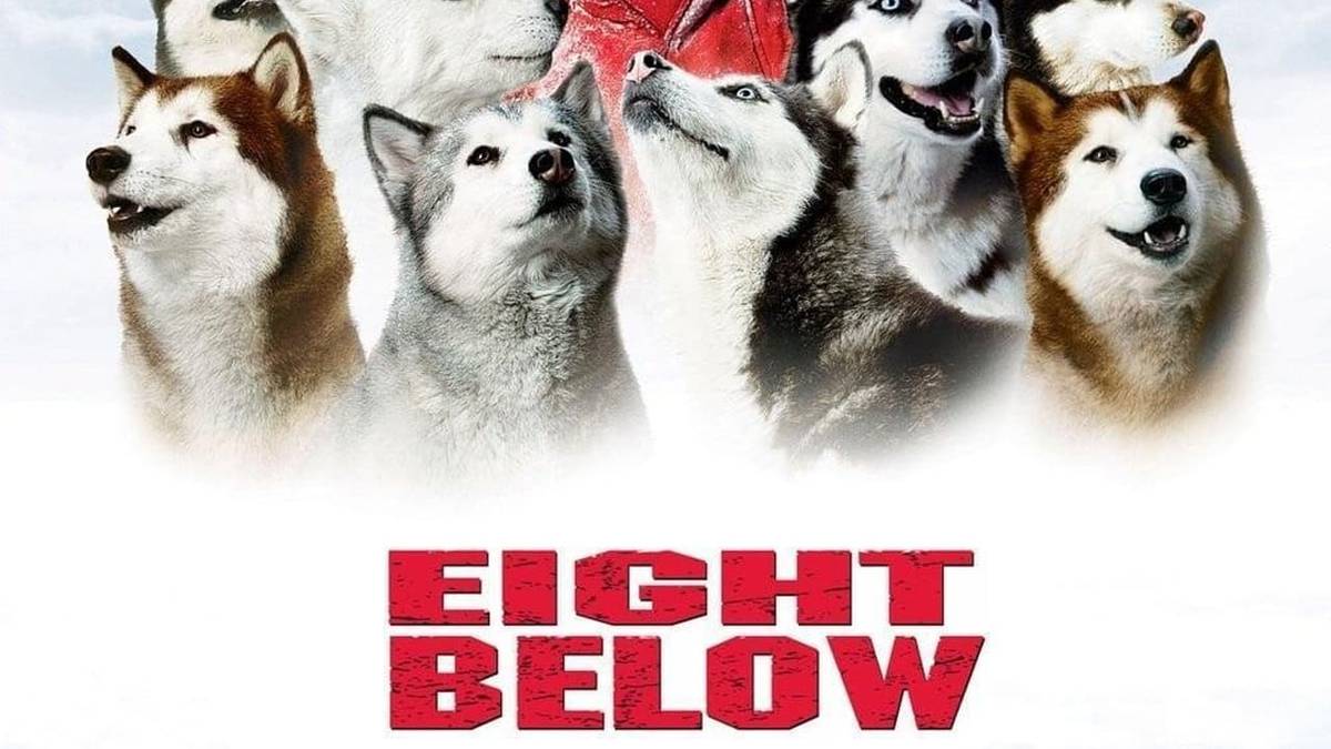 Eight Below Summary, Trailer, Cast, Where to Watch and More