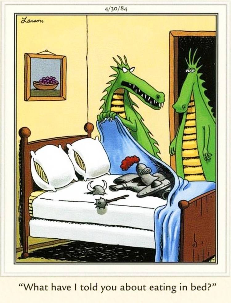 8 Times The Far Side Made Us Wish Dragons Were Real