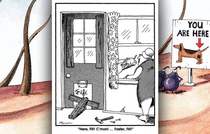 10 Funniest Far Side Comics That Prove Gary Larson's Humor Has No ...