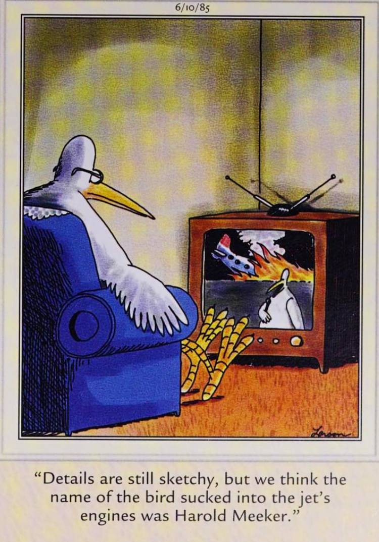 The Far Side Can Be Fun, But These 10 Comics Prove the Series Is ...