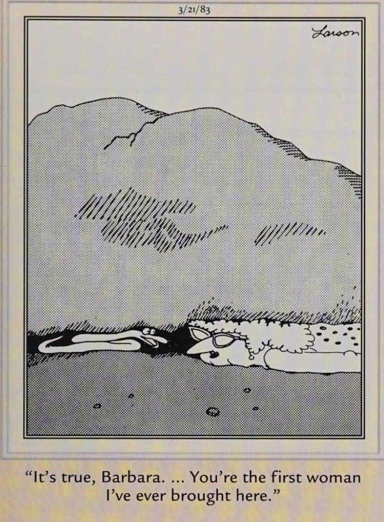 12 Far Side Comics From 1983 That Will Have You Shouting: "My God!"