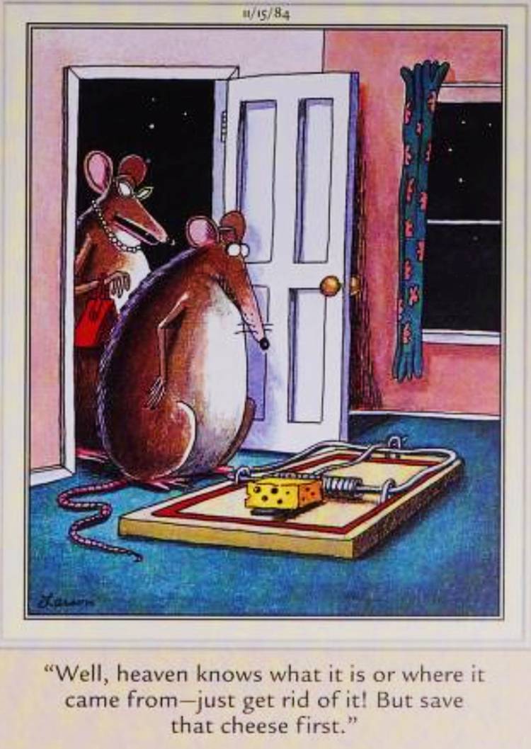 10 Far Side Comics That Turn Living Rooms Into Literal Death Traps