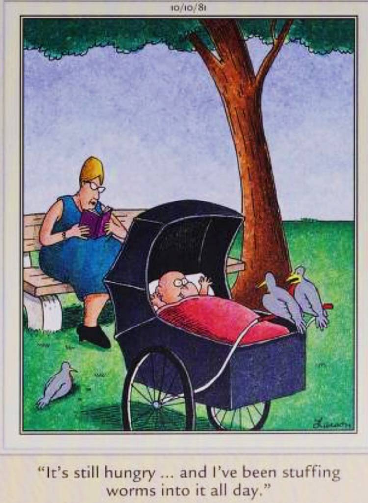 12 Far Side Comics From 1981 That Make You Go "My God!" When You Read Them