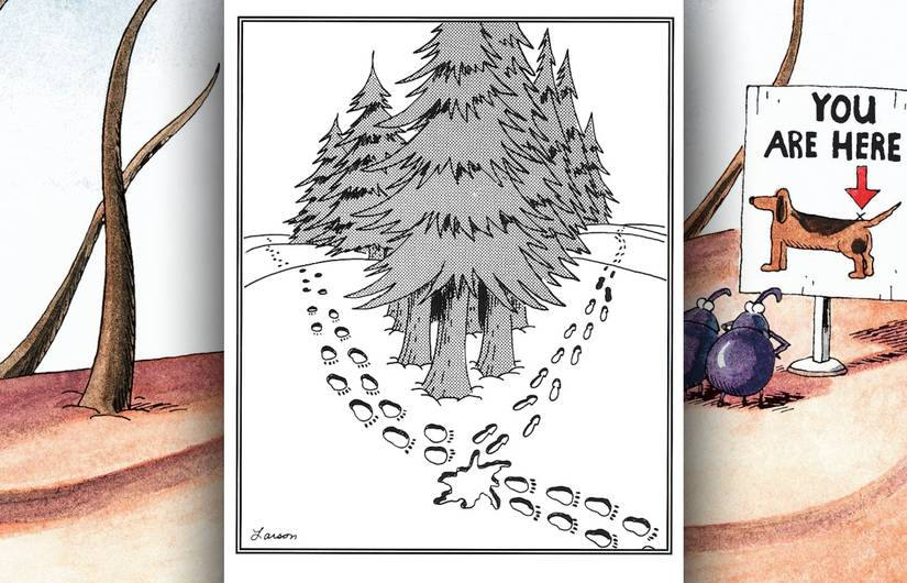 10 Funniest Far Side Comics That Prove Gary Larson's Humor Has No ...