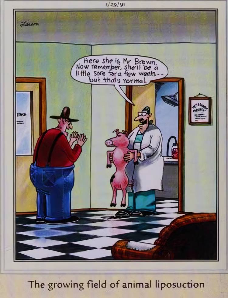 10 Far Side Comics That Will Make You See Miss Piggy In a Whole New Way