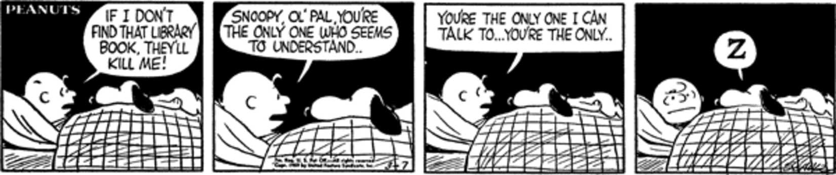Everyone Loves a Good Read, And These 11 Peanuts Comics Prove Books Are ...