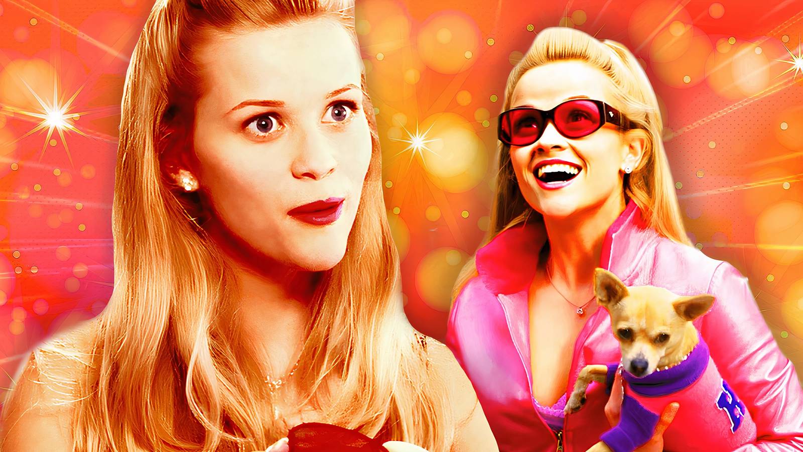 Legally Blonde Prequel Series Has To Get This 1 Thing Right For It To ...