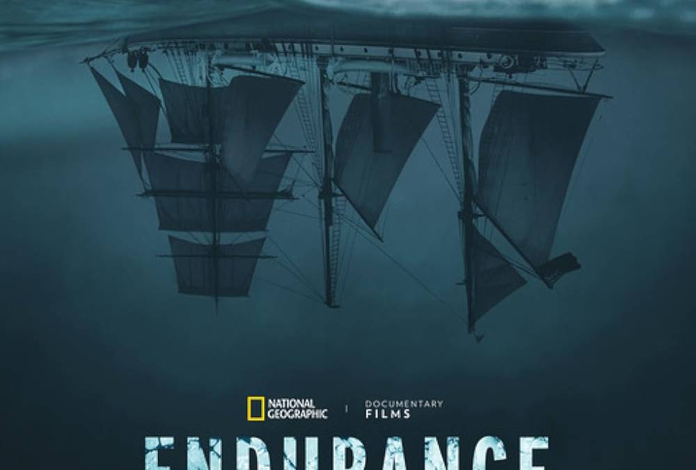 Endurance Summary, Trailer, Cast, Where to Watch and More