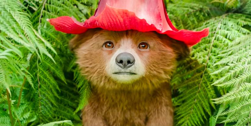 Paddington's Family Twist & Decision In Paddington In Peru Explained