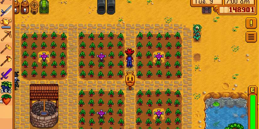 Stardew Valley: 10 Best Crops To Grow In Spring