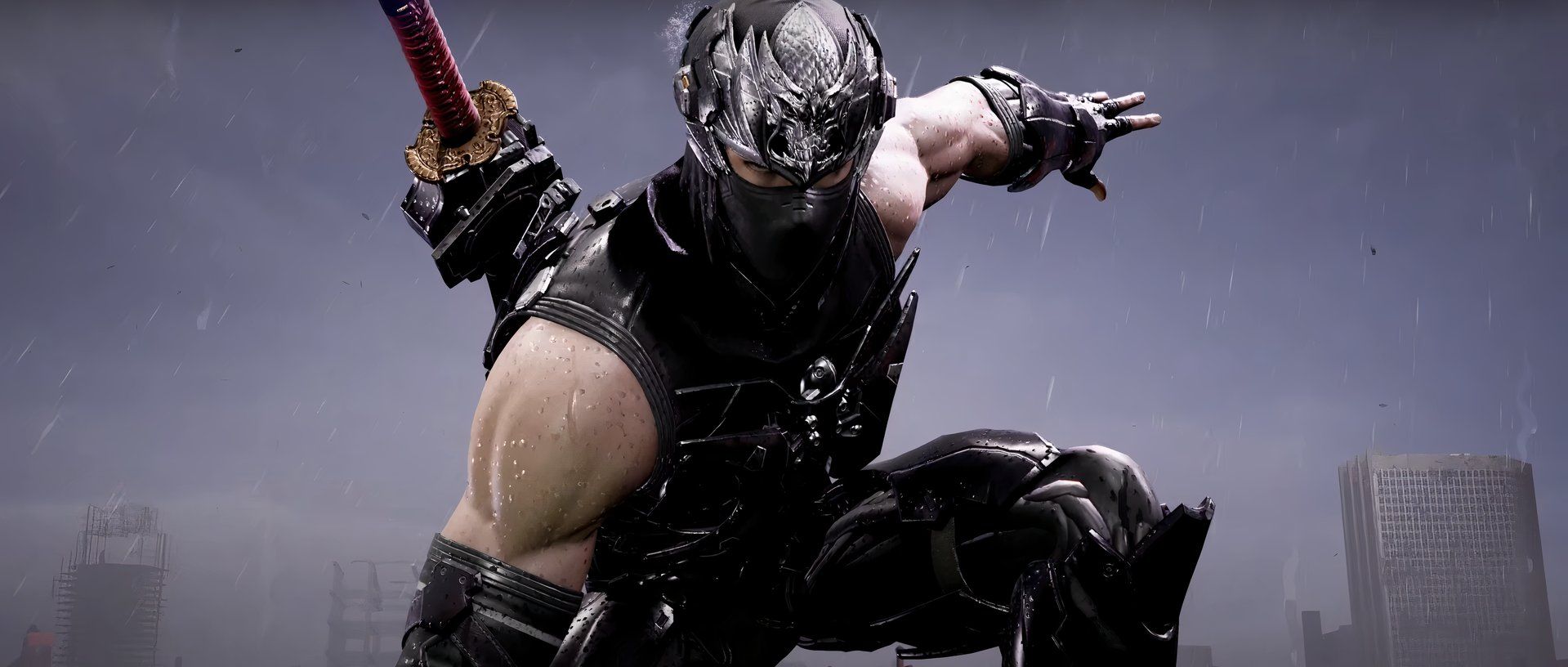 Ryu Ninja Gaiden Black Ryu Hayabusa Ninja Gaiden Ninja Art
