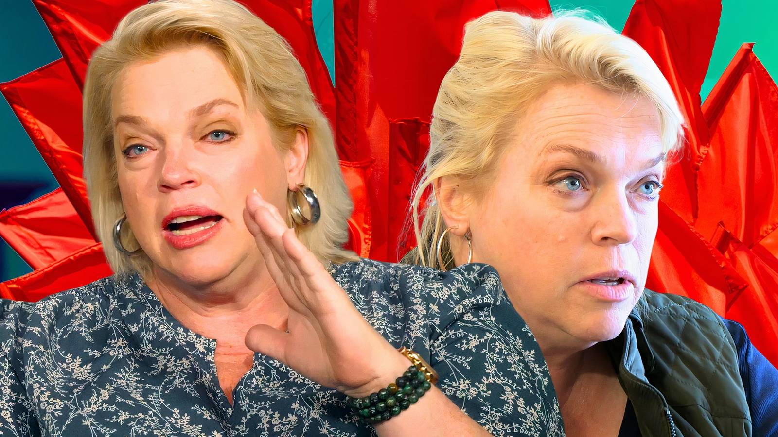 Sister Wives: Janelle's "Detox" Goals Are Red Flags That Her Past Is ...