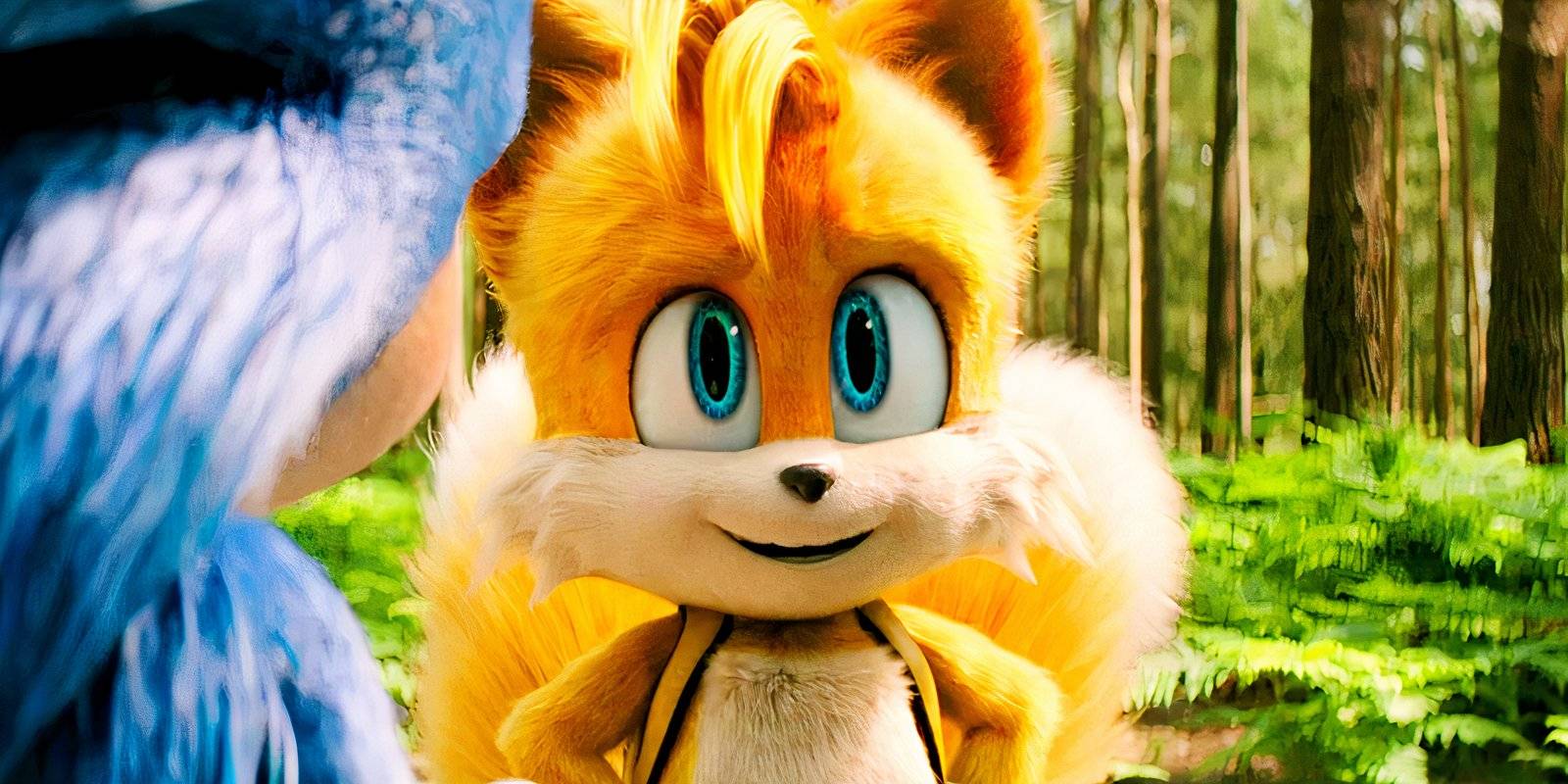 Sonic The Hedgehog Tails Spinoff Possibility Addressed By Star