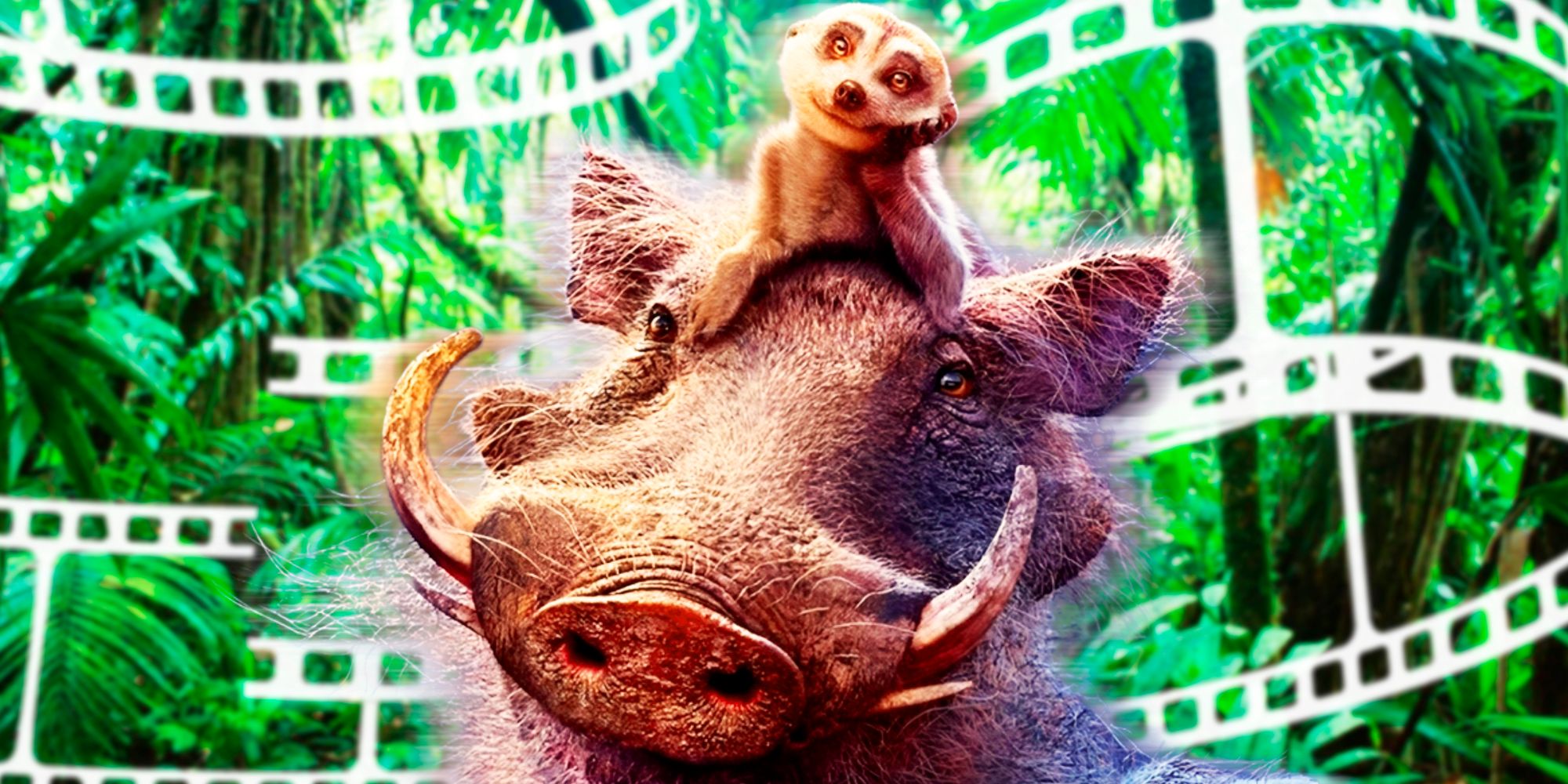 El Verdadero Timon Y Simba The Lion King Cast: 1994 Original And