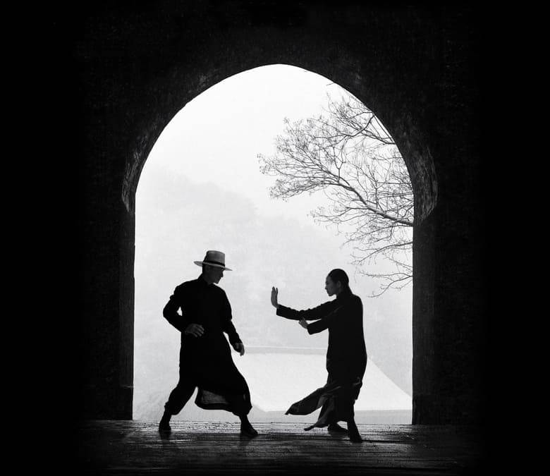 The Grandmaster Summary, Trailer, Cast, Where to Watch and More