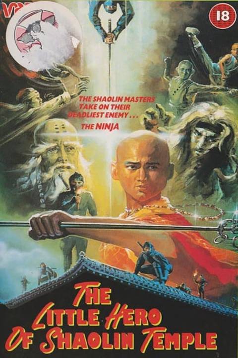 10 Weirdest Martial Arts Movies Ever Made