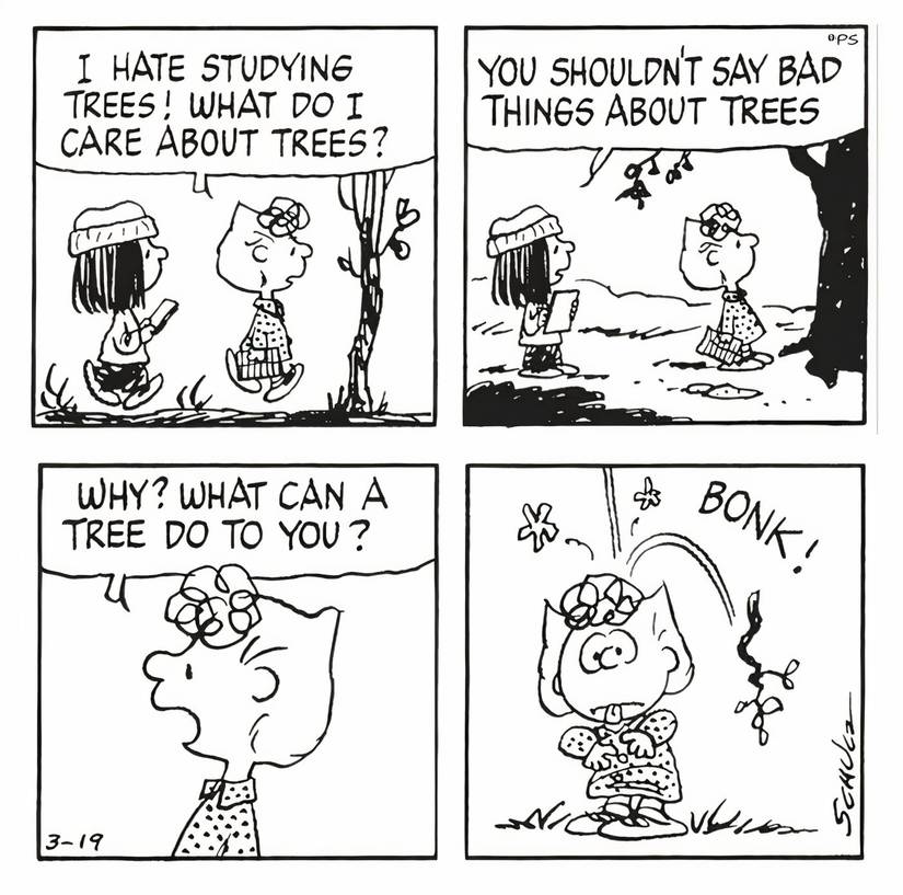 15 Funniest Peanuts Comics Starring Charlie Brown's Forgotten Friend