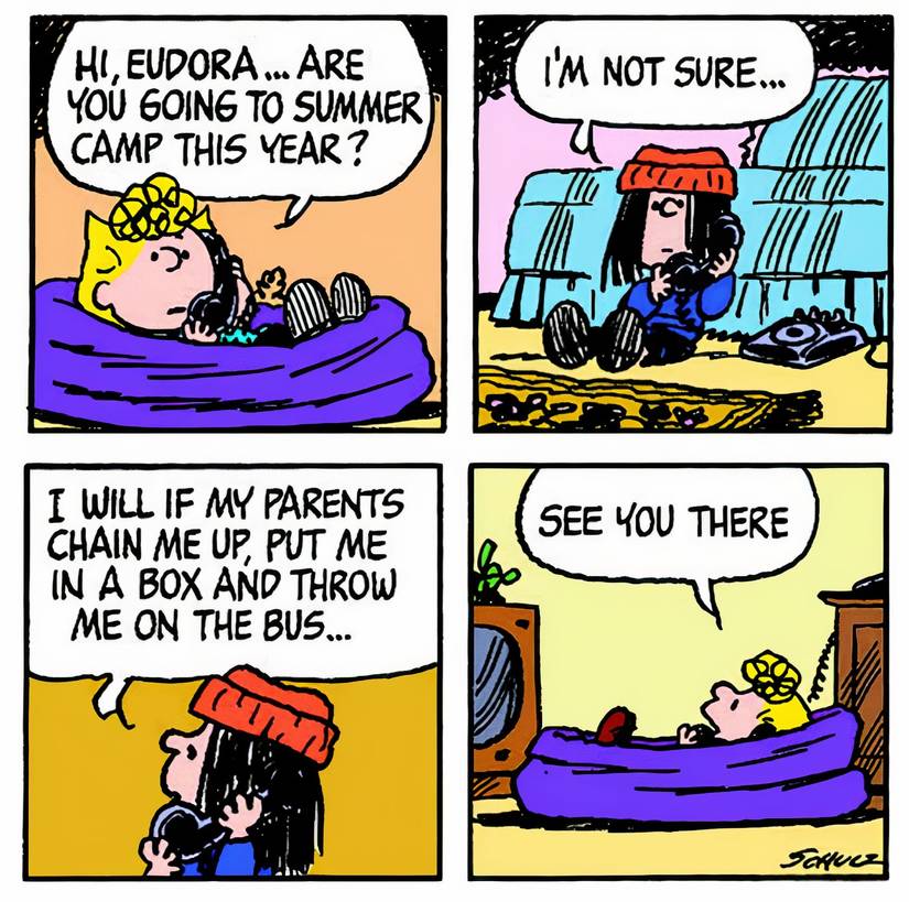 15 Funniest Peanuts Comics Starring Charlie Brown's Forgotten Friend